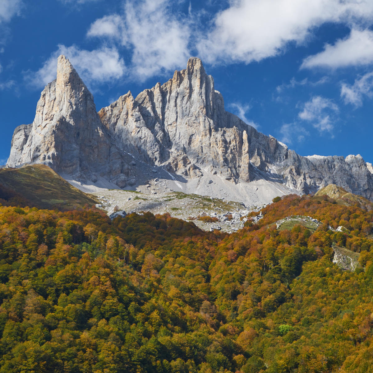 Office de tourisme Haut-Béarn – Tourisme Pyrénées Béarnaises