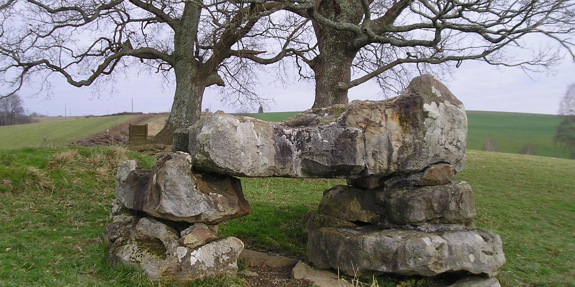 Historia del Bearne | Web oficial del Pirineo Bearnés