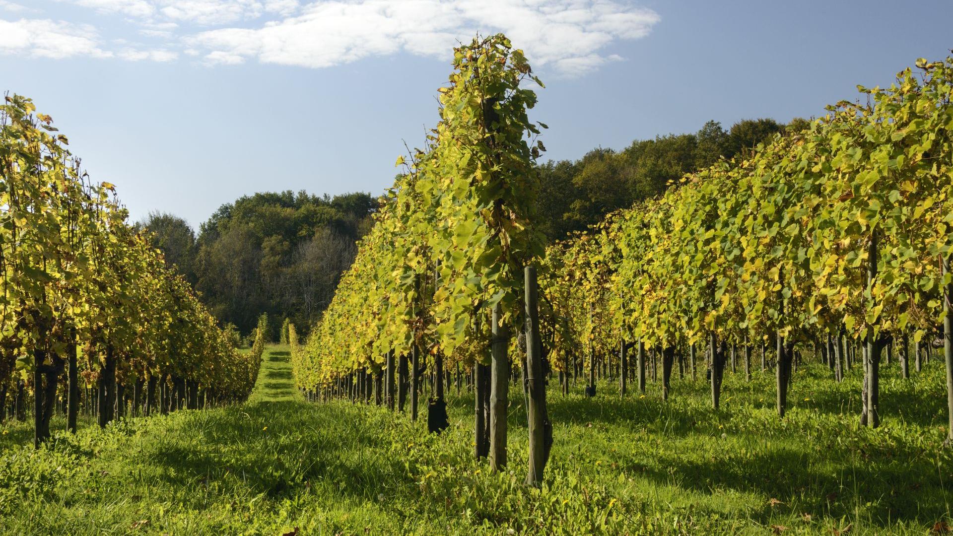 Site officiel des Pyrénées Béarnaises