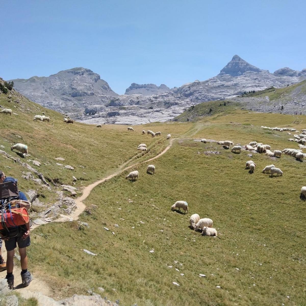 Randonnée Pyrénées : itinéraires et carte sentiers, rando lac Béarn ...