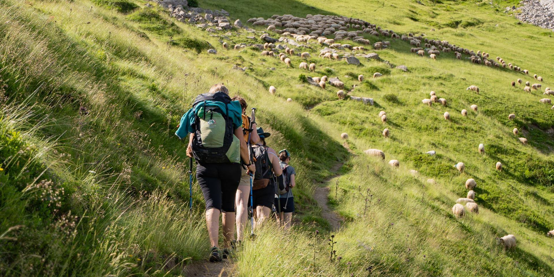 Randonnée Pyrénées : itinéraires et carte sentiers, rando lac Béarn ...